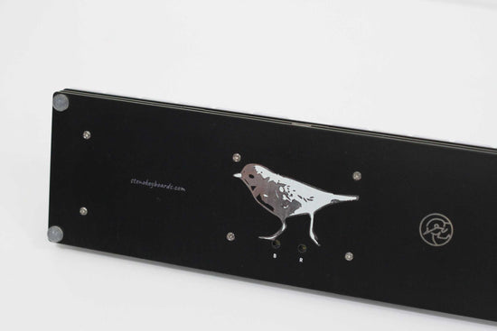 Polyglot – StenoKeyboards