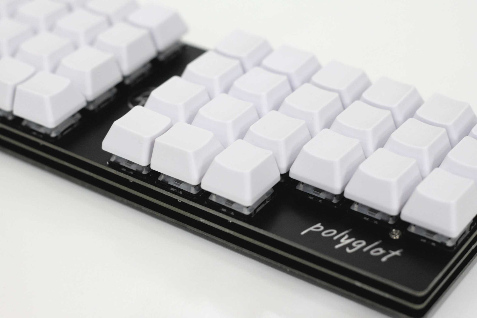Polyglot – StenoKeyboards